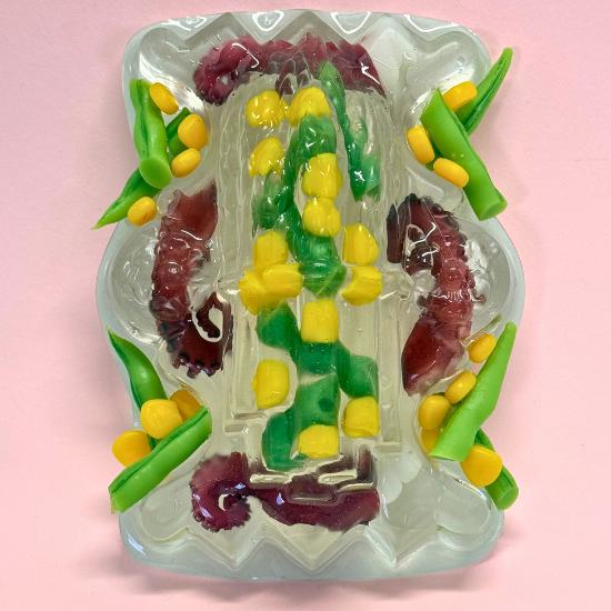 Asparagus and Octopus Savoury Aspic – Fake Food Workshop