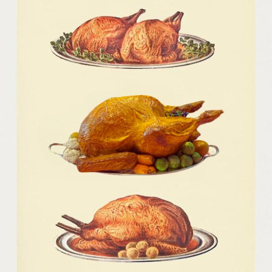 PRE-ORDER Roast Turkey with Trimmings – Fake Food Workshop